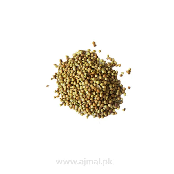 Coriander (Dhaniya) | Fresh & Natural Herb | دھنیا
